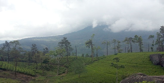 Sri Lanka Walk: Galaha: A Day's Sightseeing.