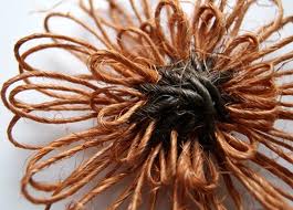 Ambiente Mexicano "El Blog": CADA CHANGO A SU MECATE