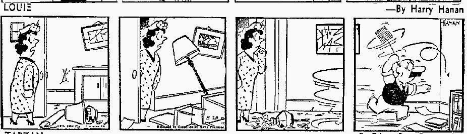 Jeannette's take on life: THE PESTY FLY