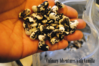 Gila River Vegetarian Baked Beans {Cook the Books}