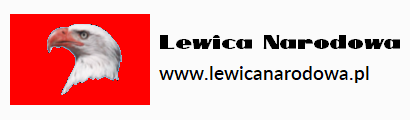 Lewica Narodowa: O stronie