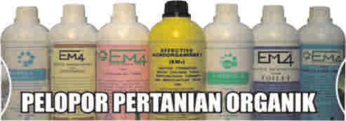 Saatnya Berbagi...: Cara Mudah Membuat EM-4 (Effective Microorgasims-4)