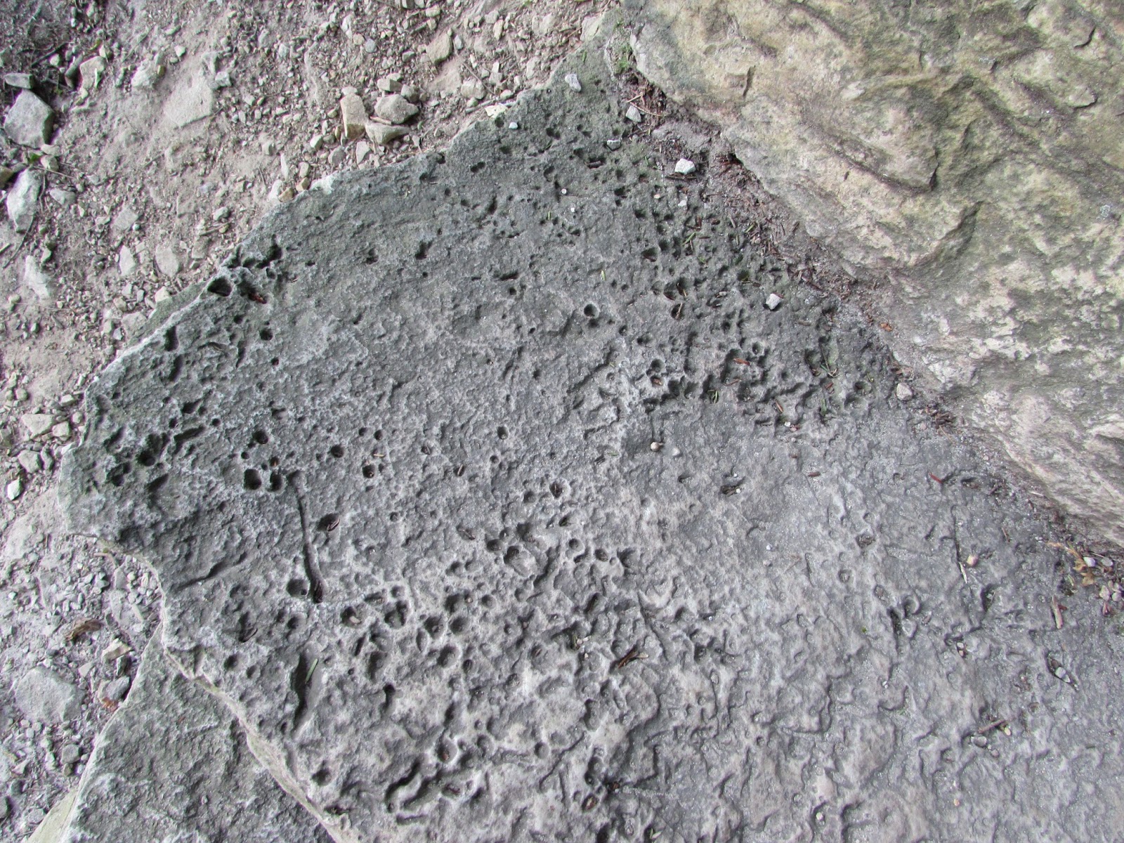 Standing Stone Trail and the Thousand Steps: Great Hike with Stunning ...