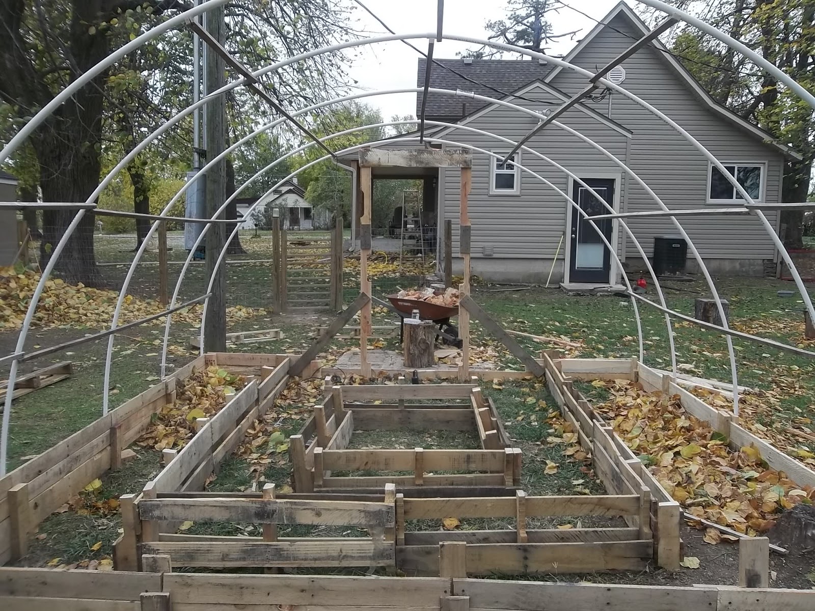 Two Blessed Damsels: Hoop House....