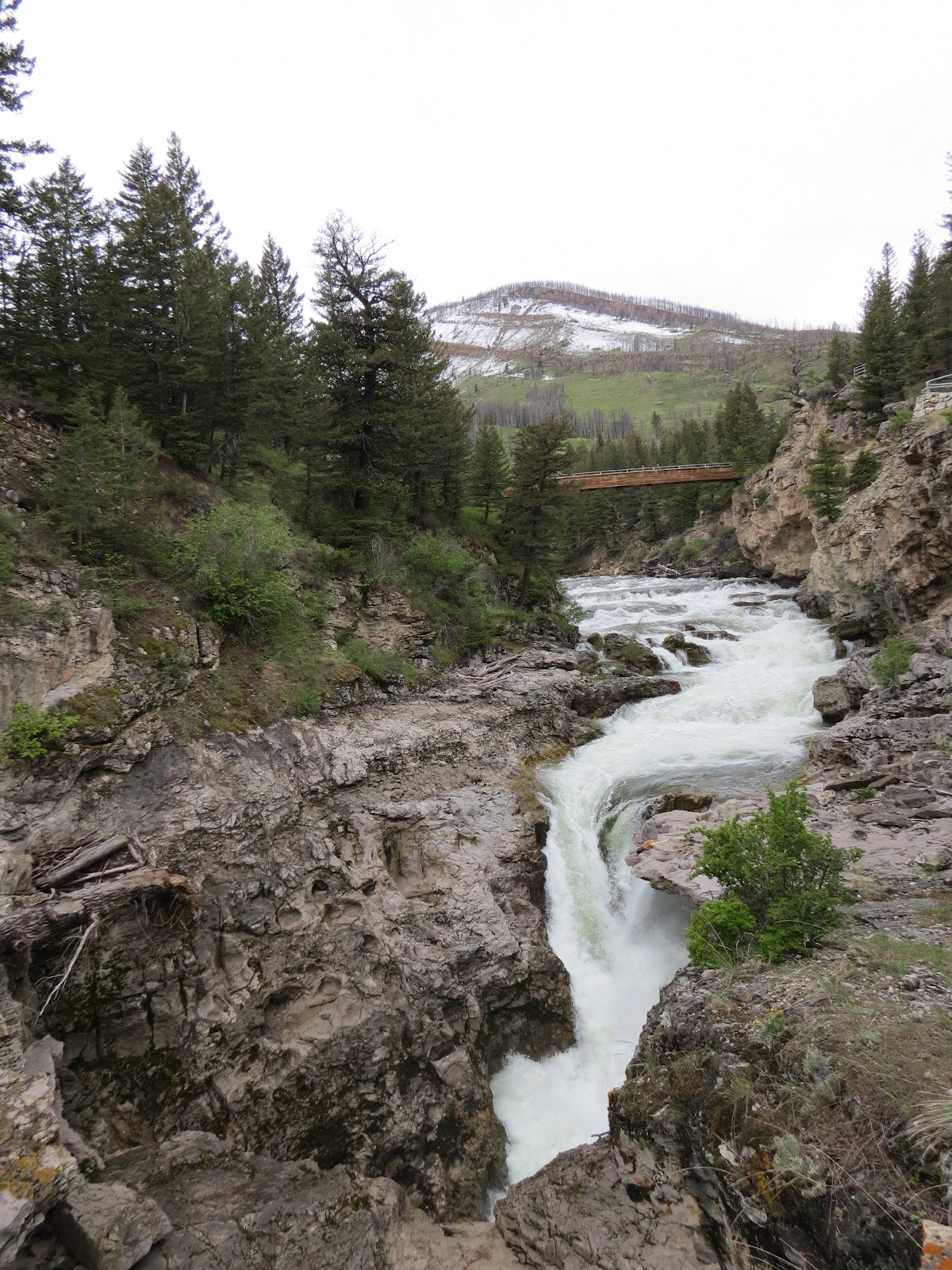 Where's Liz-2012?: Big Timber, Montana