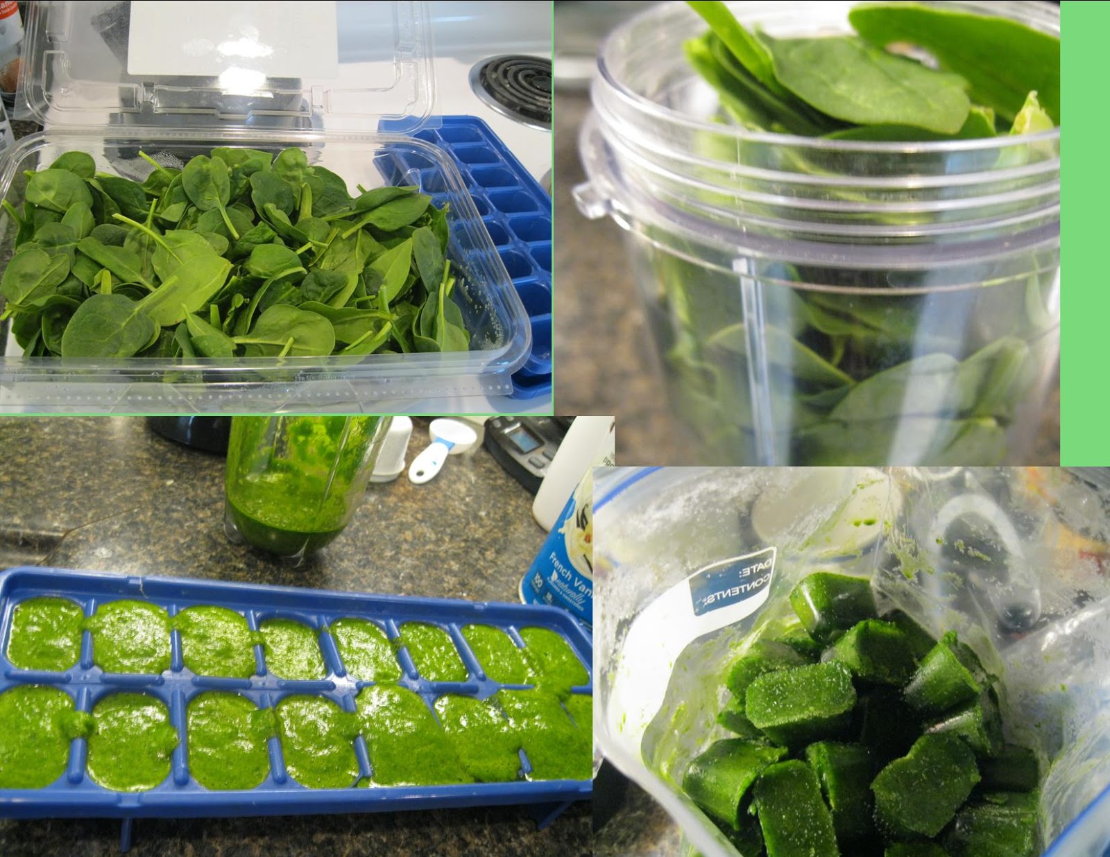 LemonySpirits : Smoothie Fixings