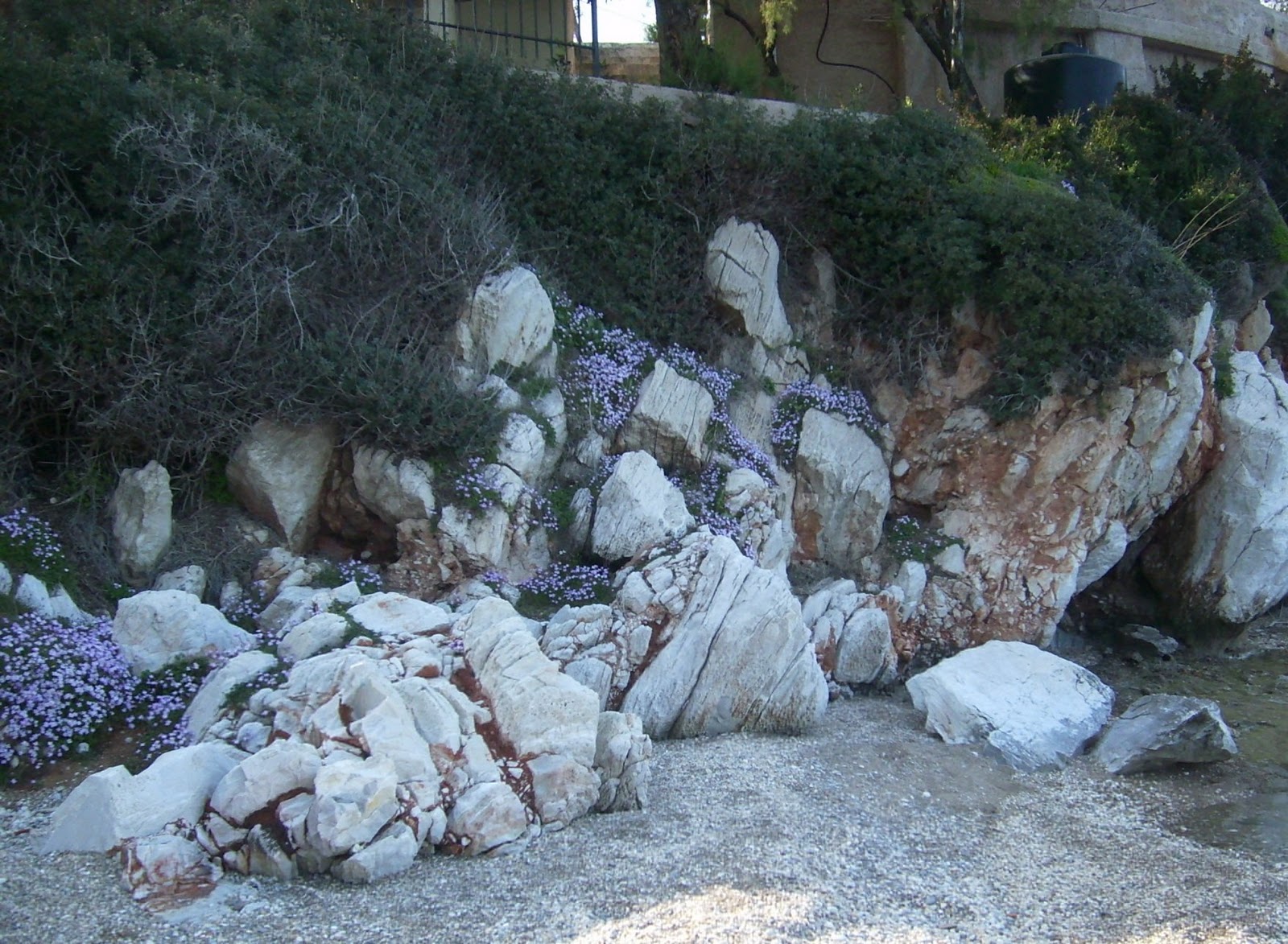 ΠΑΡΑΛΙΑ ΒΑΡΝΑΒΑ: Παραλία Βαρνάβα Ανοιξη