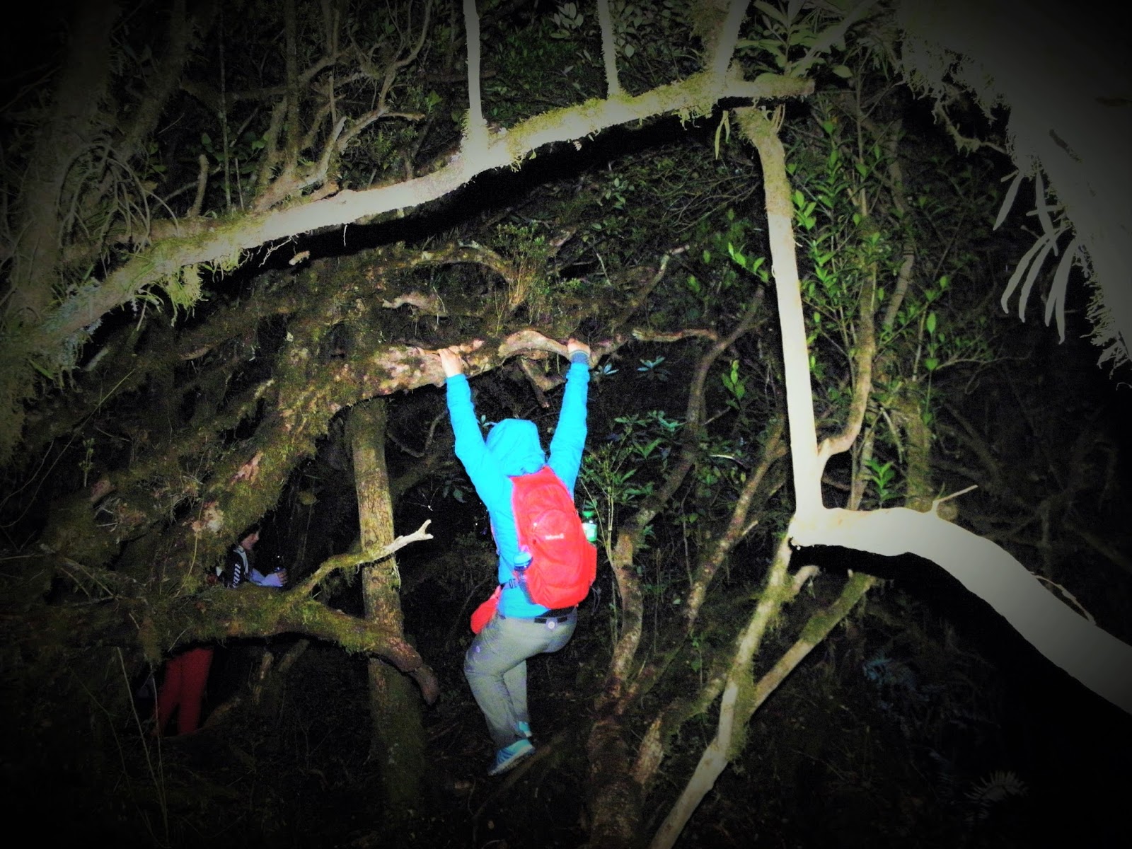 Hiking The Monkey Trails Of Mt. Tabayoc In Kabayan, Benguet