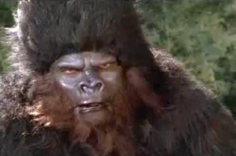 John Kenneth Muir's Reflections on Cult Movies and Classic TV: The Cult ...