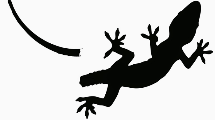 11 Fakta Unik Tentang Cicak | Bertautan DotCom