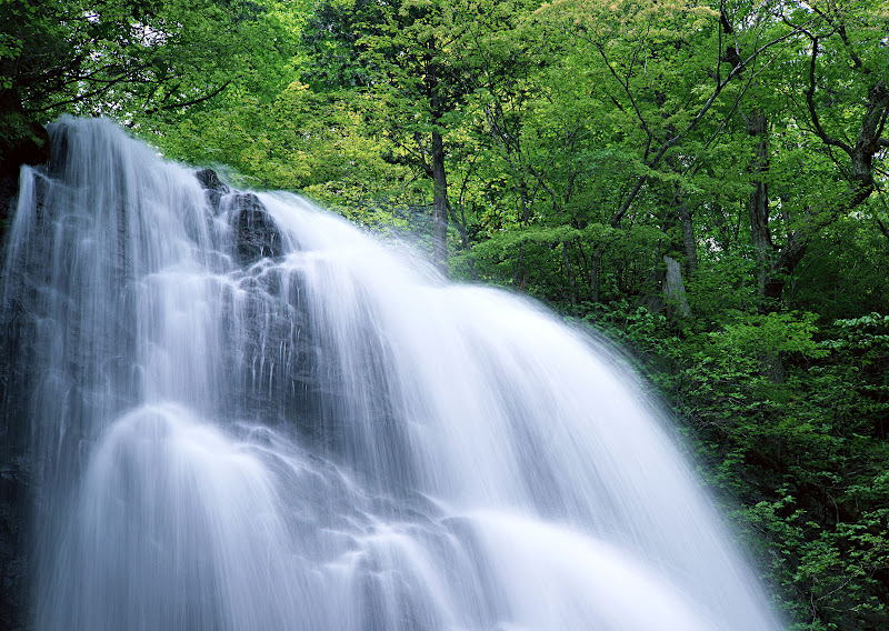 Hd Kalitesi Tabiat Resimleri ~ Resimler Diyarına Hoşgeldiniz
