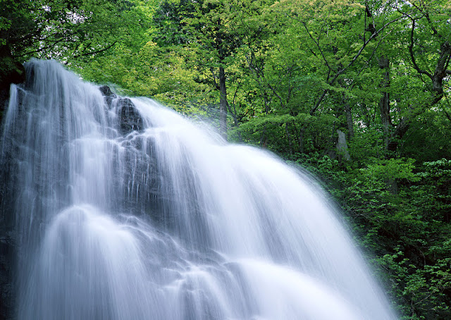 Hd Kalitesi Tabiat Resimleri ~ Resimler Diyarına Hoşgeldiniz