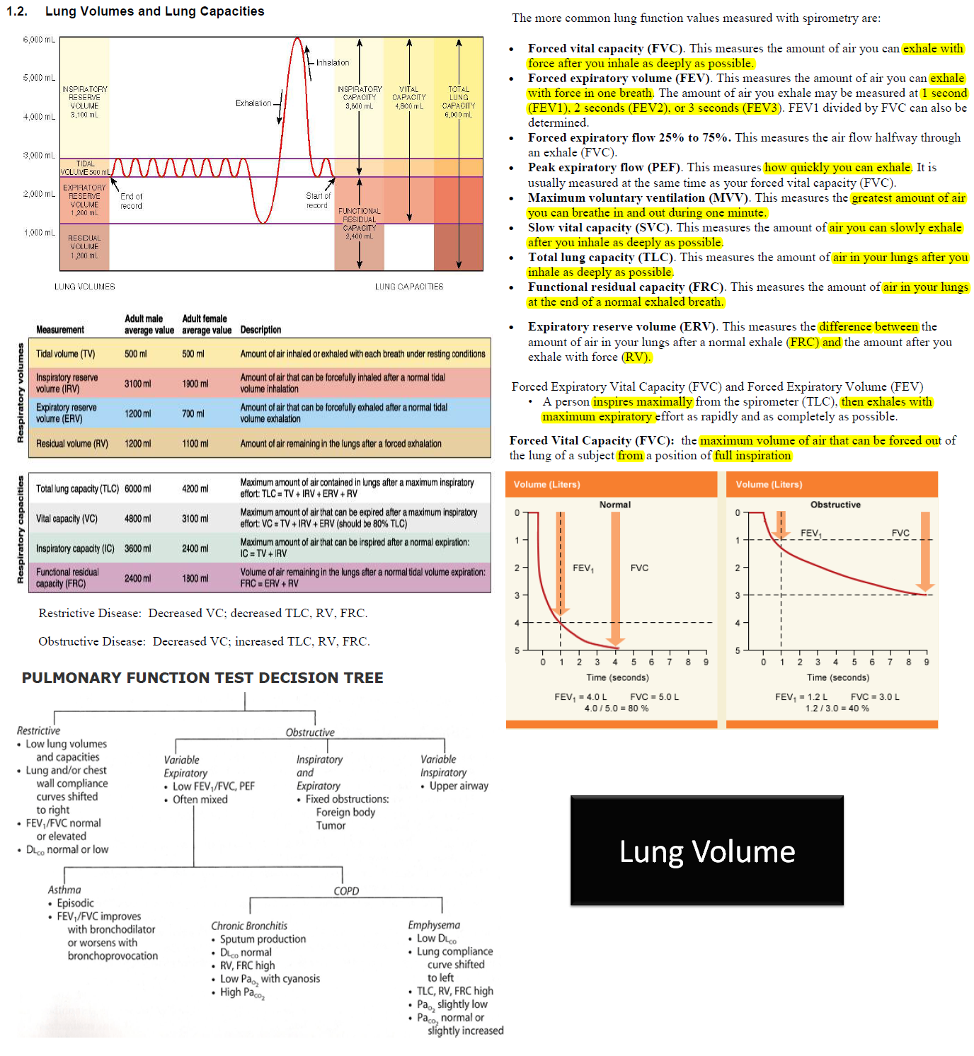 Medical Concept maps : Respiratory System