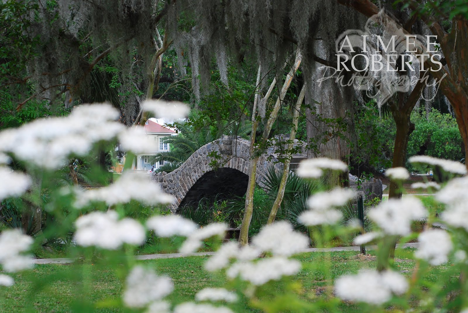 Aimee Roberts Photography