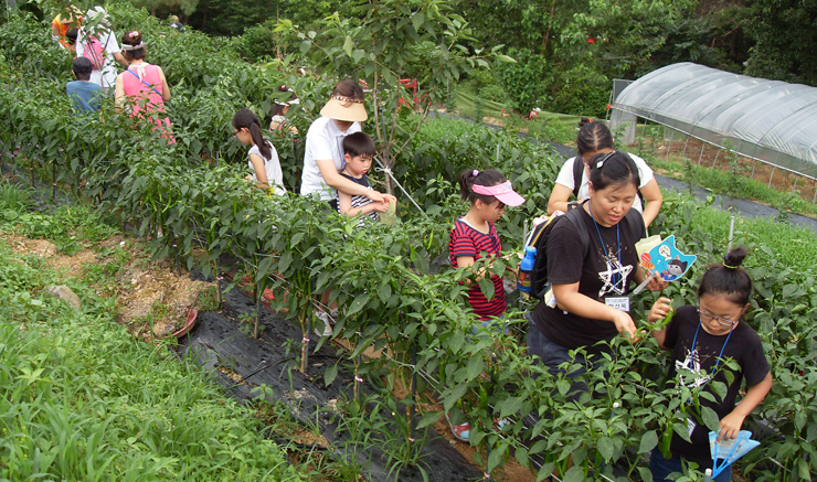 [Tour] Haean Farm Stay Village