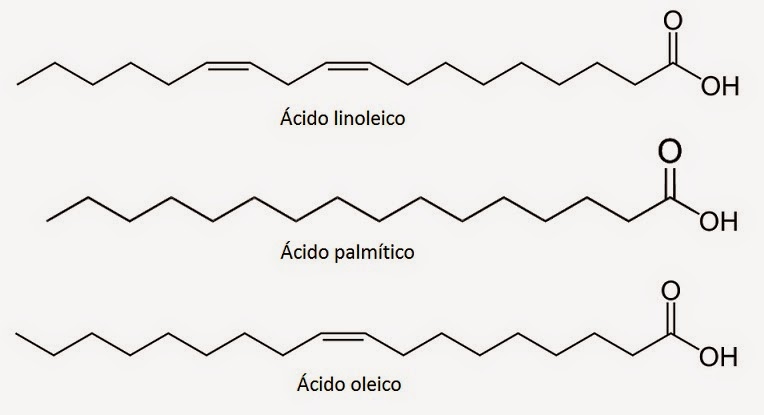 Las bondades del aceite de argán | El celuloide de Avogadro