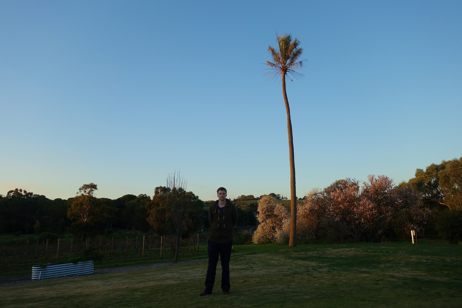 d r i n k s t e r: HOT CHEF: CHRIS CHILVERS: ELBOW ROOM