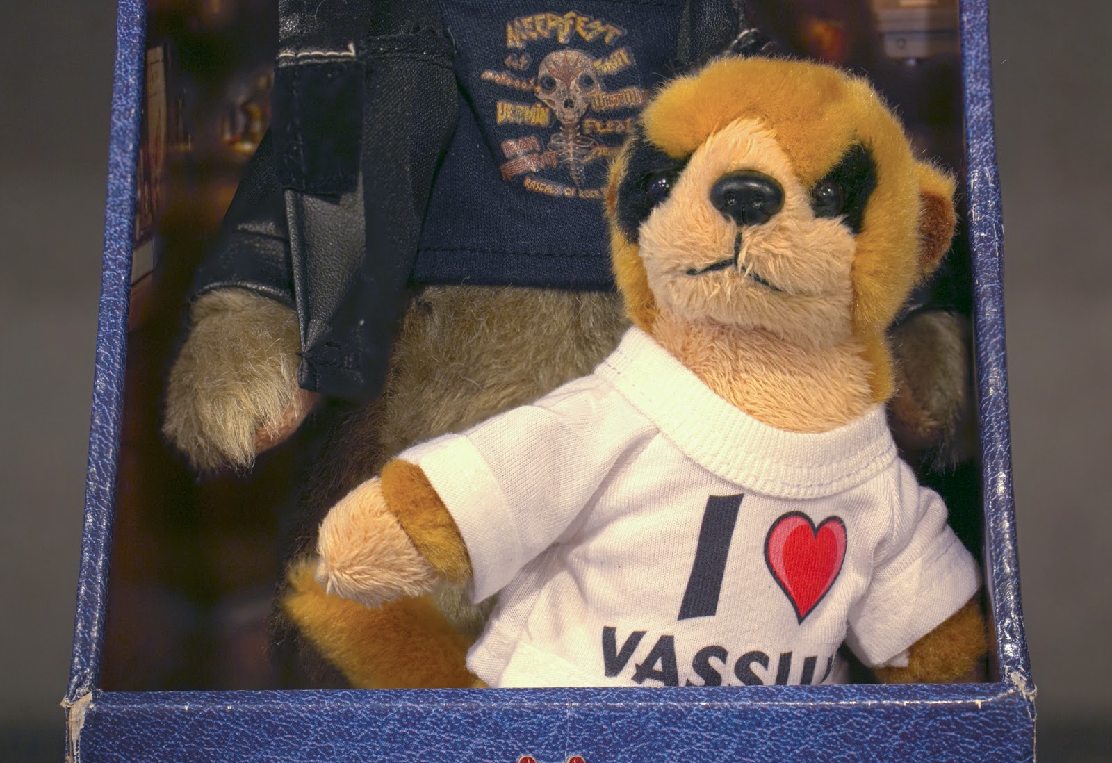 VJK's Diaries: Helicon Focus vs. Photoshop focus stacking