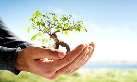 La importancia de crear valor para el accionista ~ El joven inversor