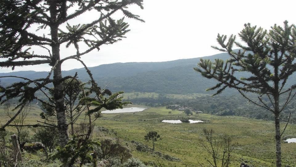 MOVIMENTO CRIATIVO ***: *** URUPEMA - SANTA CATARINA - BRASIL - BRAZIL