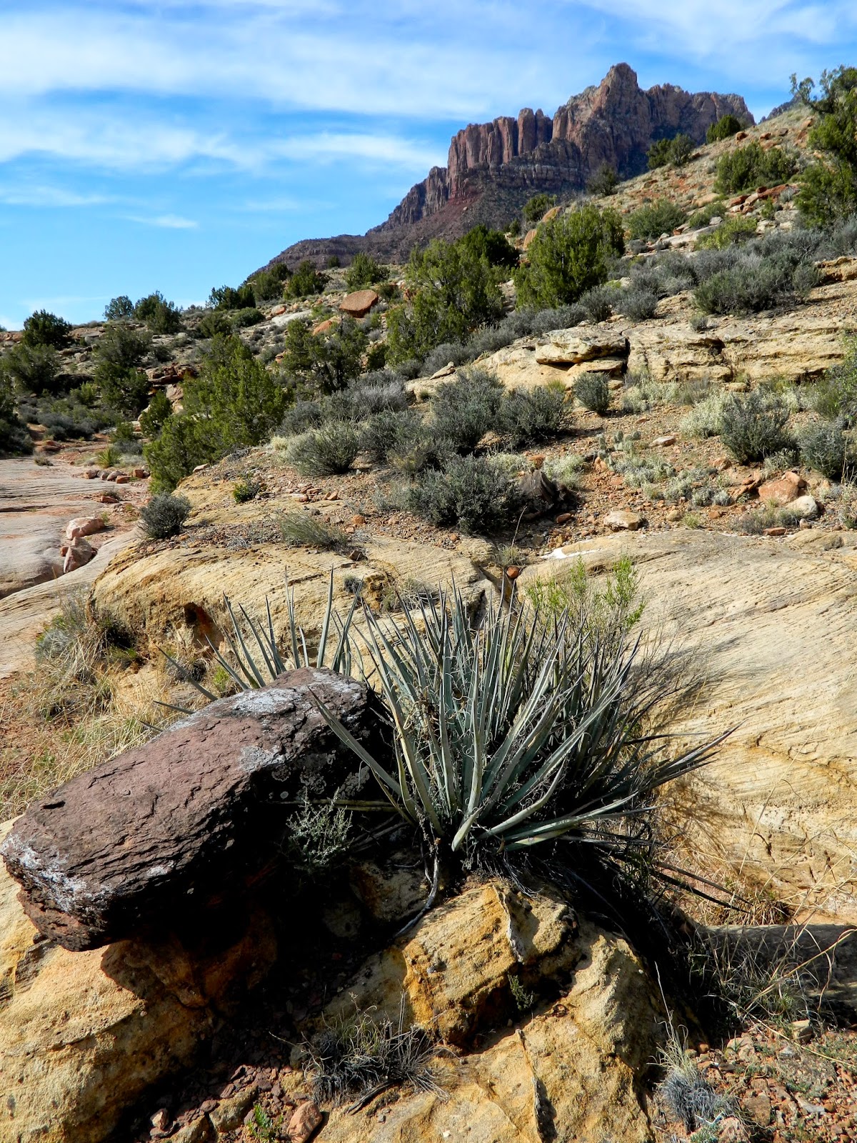 Dancing 'Cross the Country: The Chinle Trail: Zion National Park
