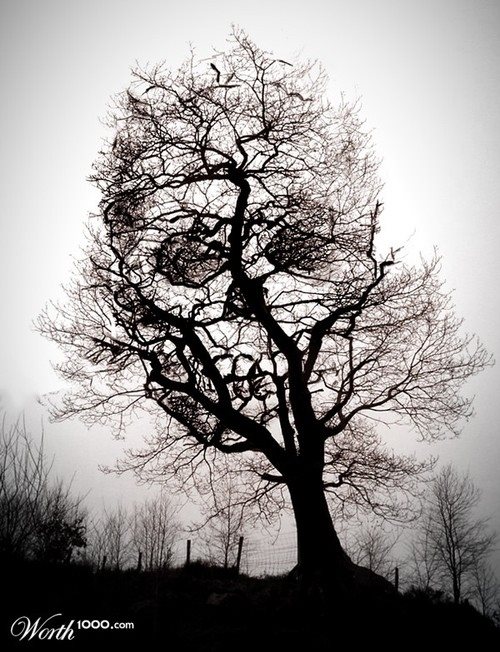 Skull Tree