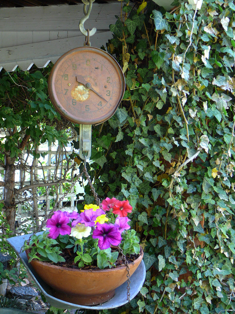 Johanna Parker Design: Garden in June....