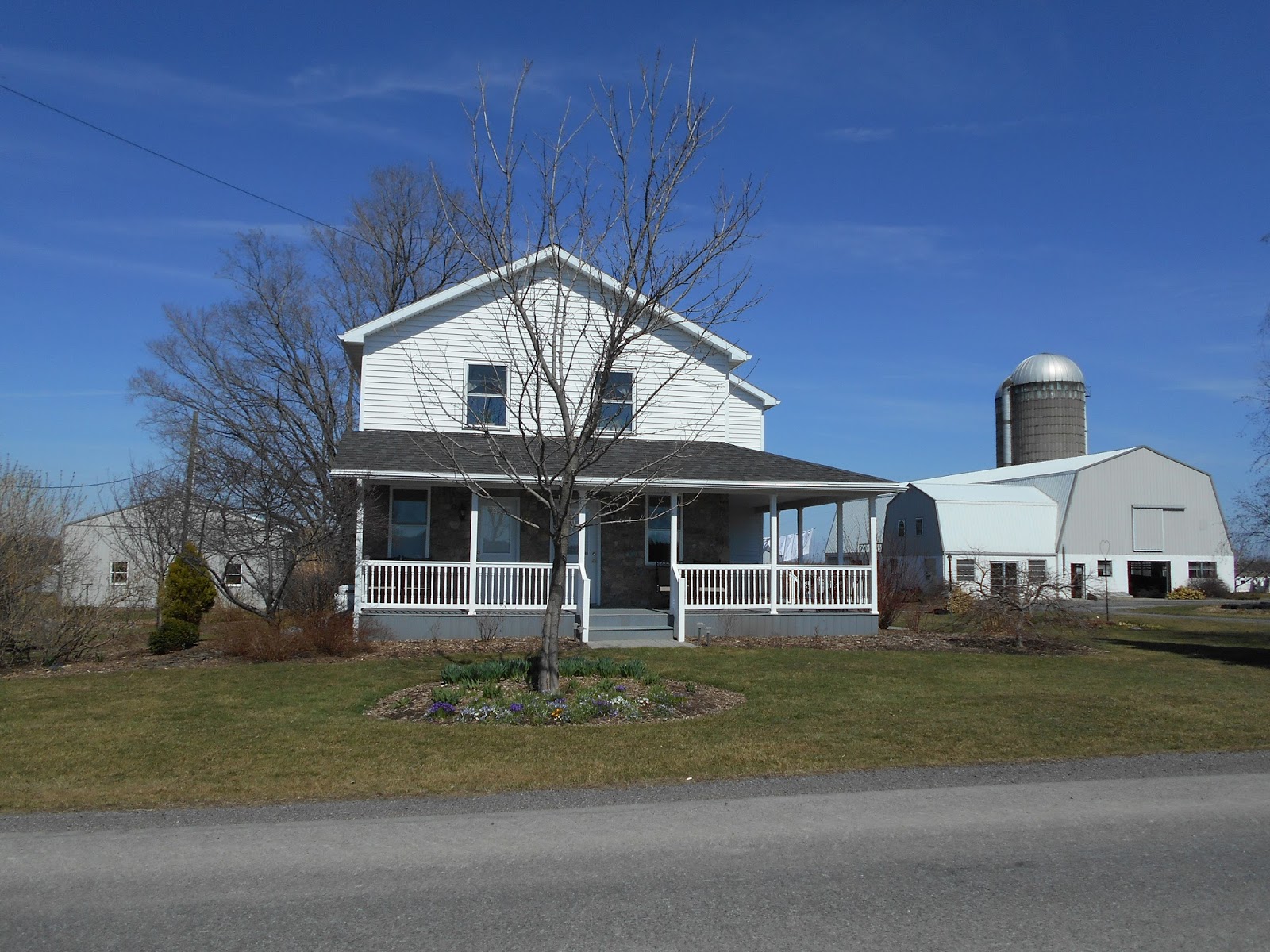 New York State of Mind: OLD ORDER MENNONITE FARM