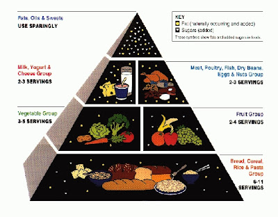 Healthy Habits: The difference between the Conventional Food Pyramid ...