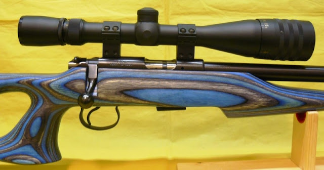 Armi usate web portal: CZ 455 EVOLUTION CAL.22LR