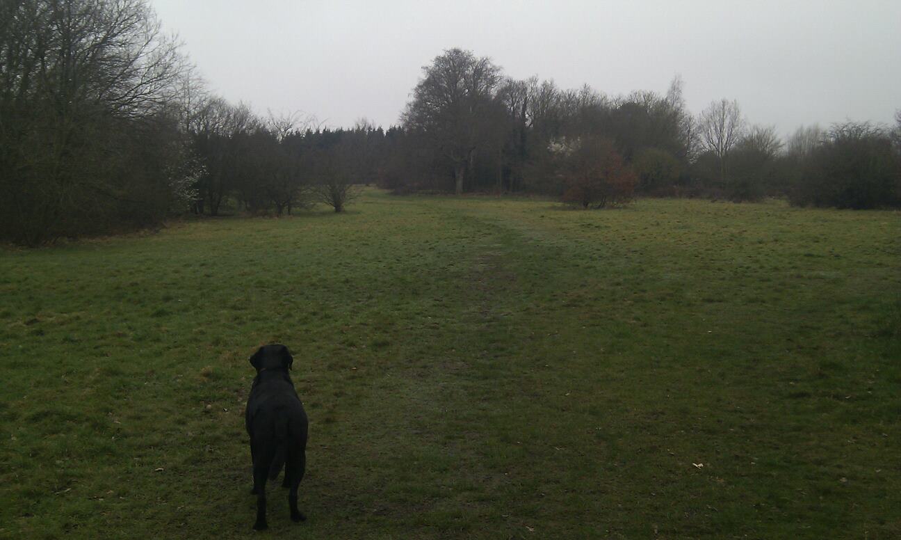 TheLondonLoop: London LOOP-Walk from Hainault Forest to Chingford 12.03.12