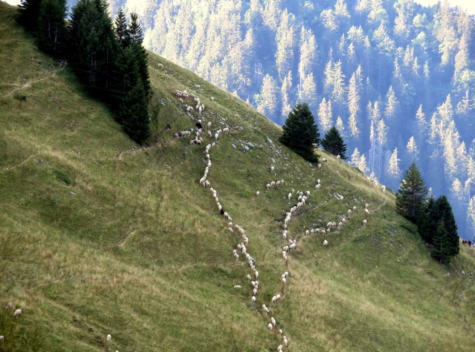 trekking de bernard: Jouer avec le soleil à Arguille