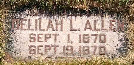 Andrew Jackson Allen