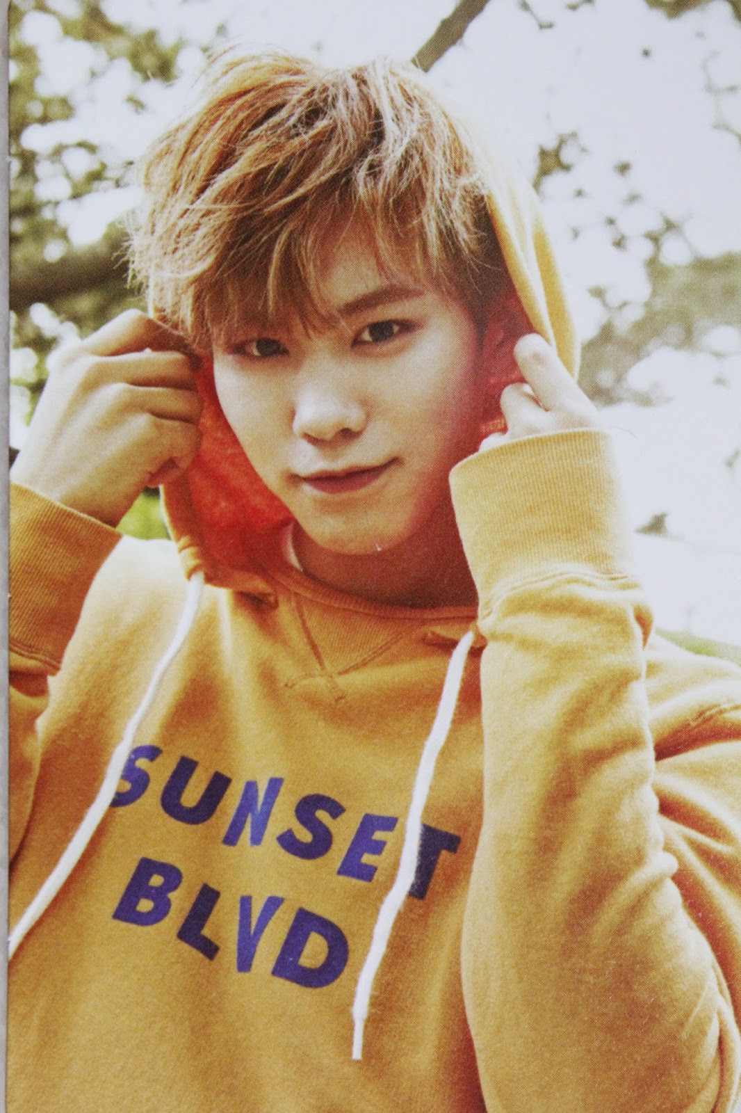 kpop scans: Rocky ( Astro ) - autumn story red version photocard