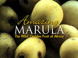 World of Shopping: The Delicious taste of Marula Fruit