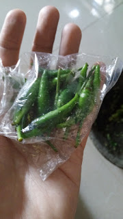 oey's journal: Tips Mengatasi Embun Jelaga Pada Tanaman Mangga