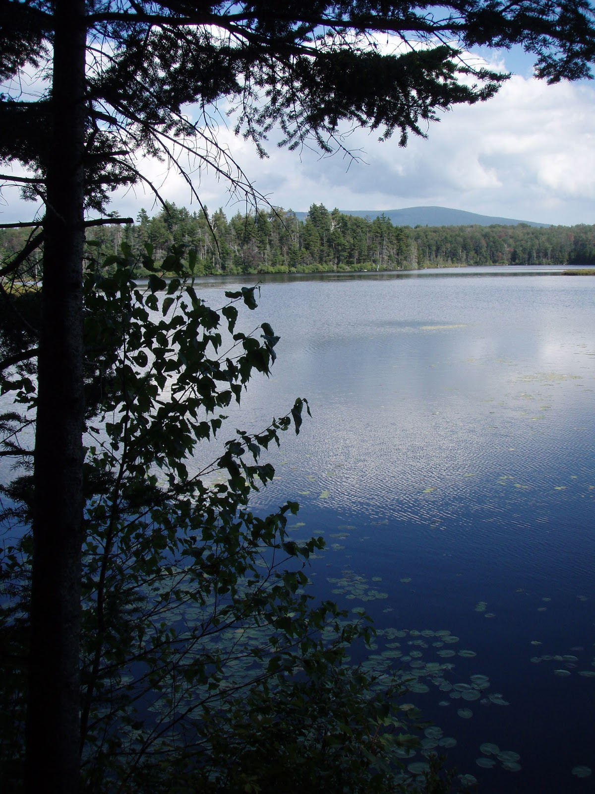 BOURN, BRANCH & STRATTON PONDS backpacking in southern Vermont.