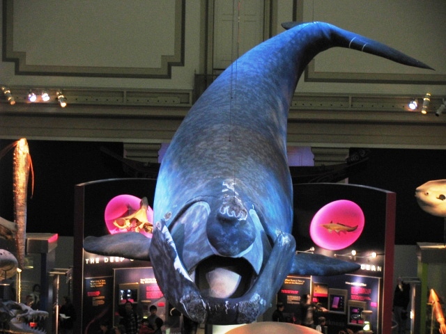 In the Garden: Smithsonian Museum