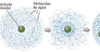 P7 Biología curso 16-17: LOS MODELOS PRECELULARES: LOS COACERVADOS ...