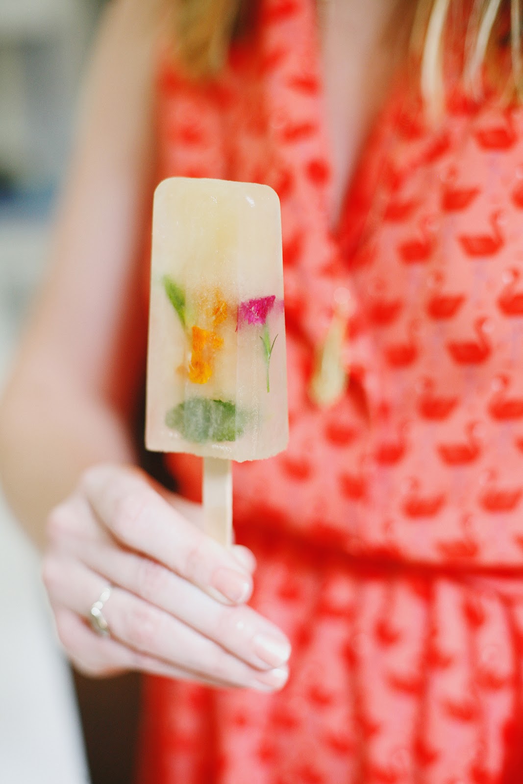 CAKEWALK BAKE SHOP: DIY: Summer POPS!