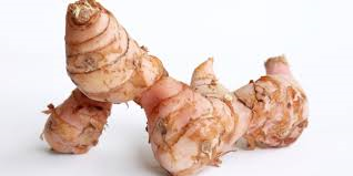 .: Tips Merawat Panau Secara Semulajadi