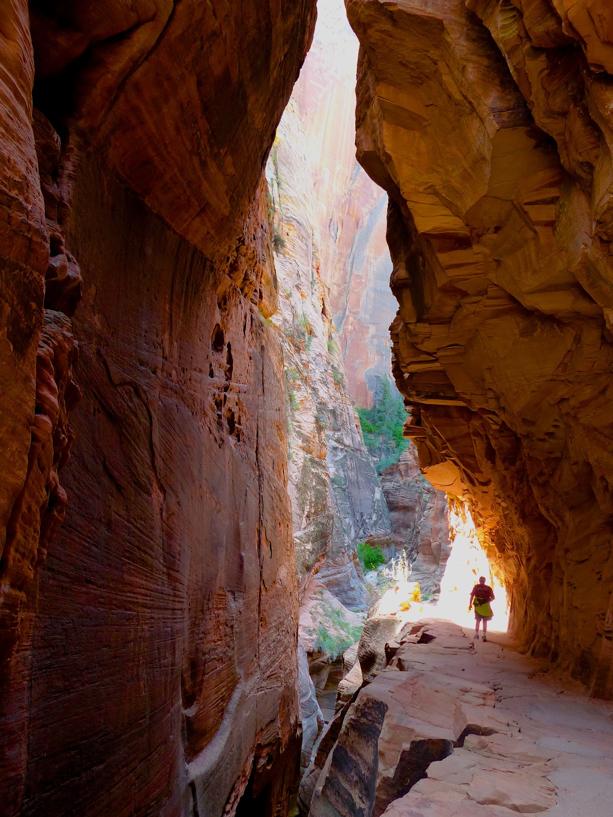 North By Northport: Hike and Bike: the Grand Staircase in Utah