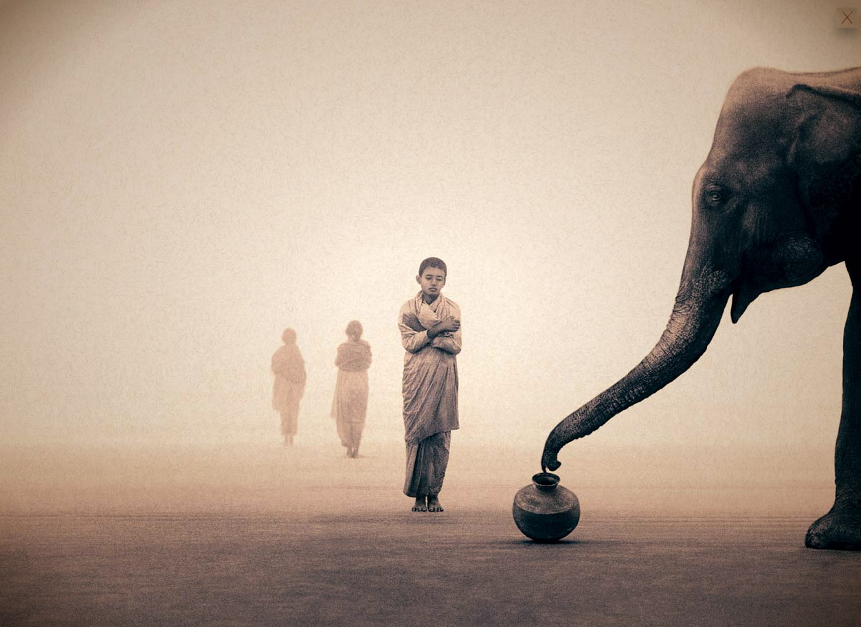 Anthony Luke's not-just-another-photoblog Blog: Photographer Profile ...