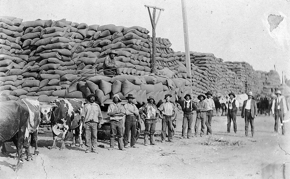 Bytes: Wheat Pics...