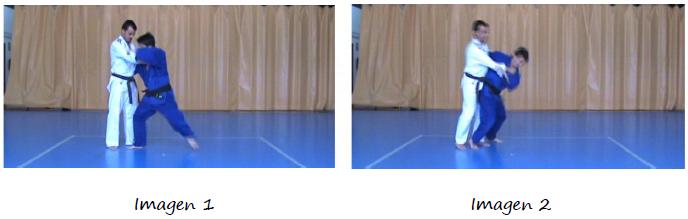 AYUDA A"JUDO": uki goshi