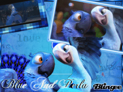 Fans de Río, Río 2