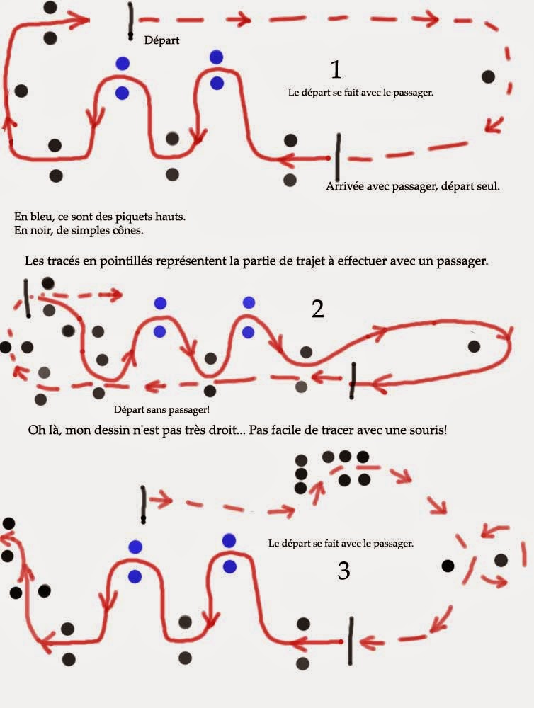 UNE PASSIONS DÉVORANTE****: Comment tout a commencé.