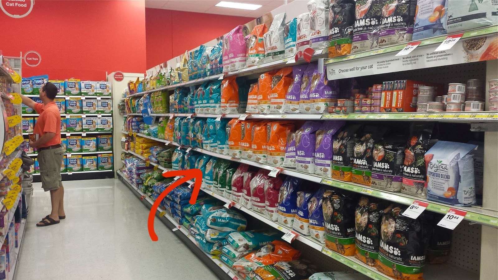 borrowed heaven: A Tale of Two Kitties