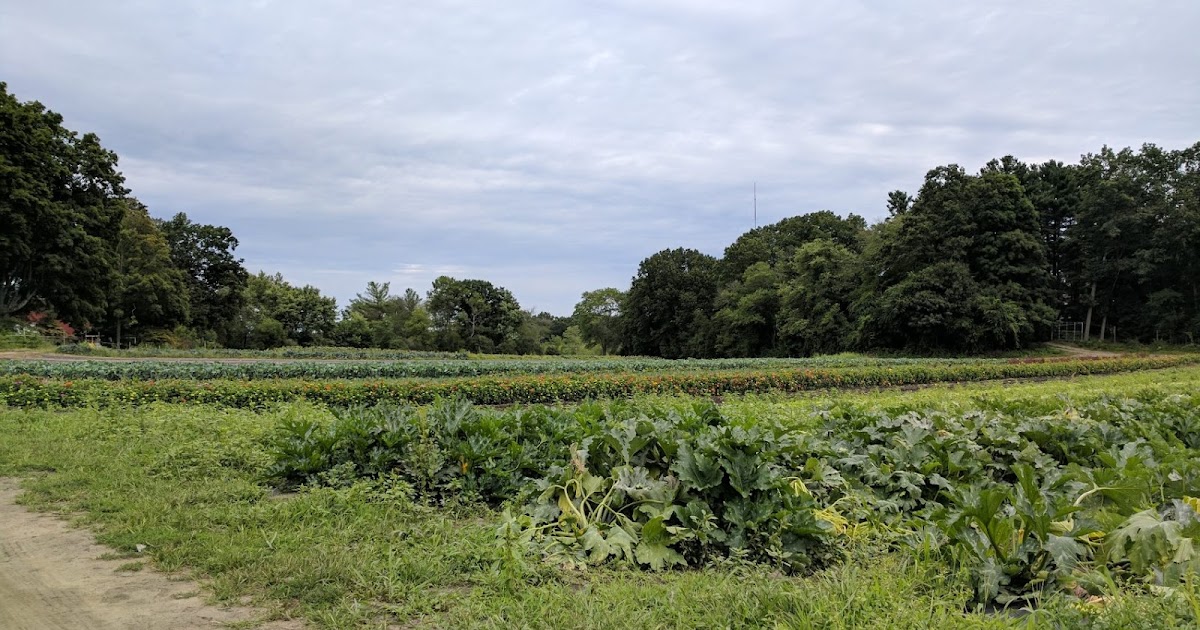 Environmental Geography: Farming for 100 Years, Near Boston