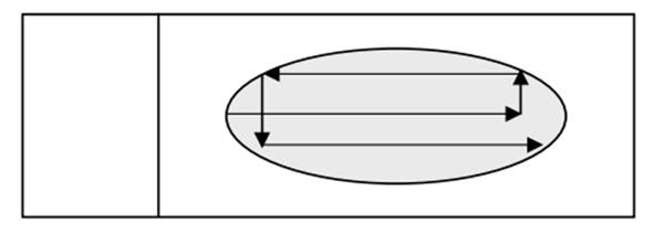 Phimaimedicine: 1,625. Acid-fast bacillus (AFB) smear report